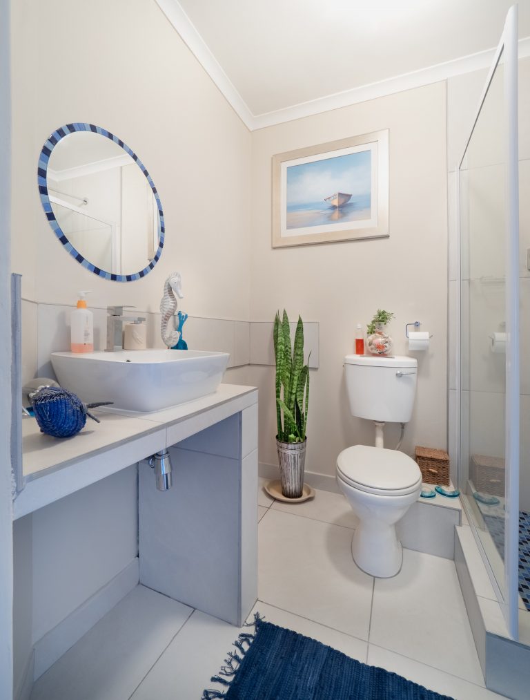 Basic Bathroom Tips – DIY Creation